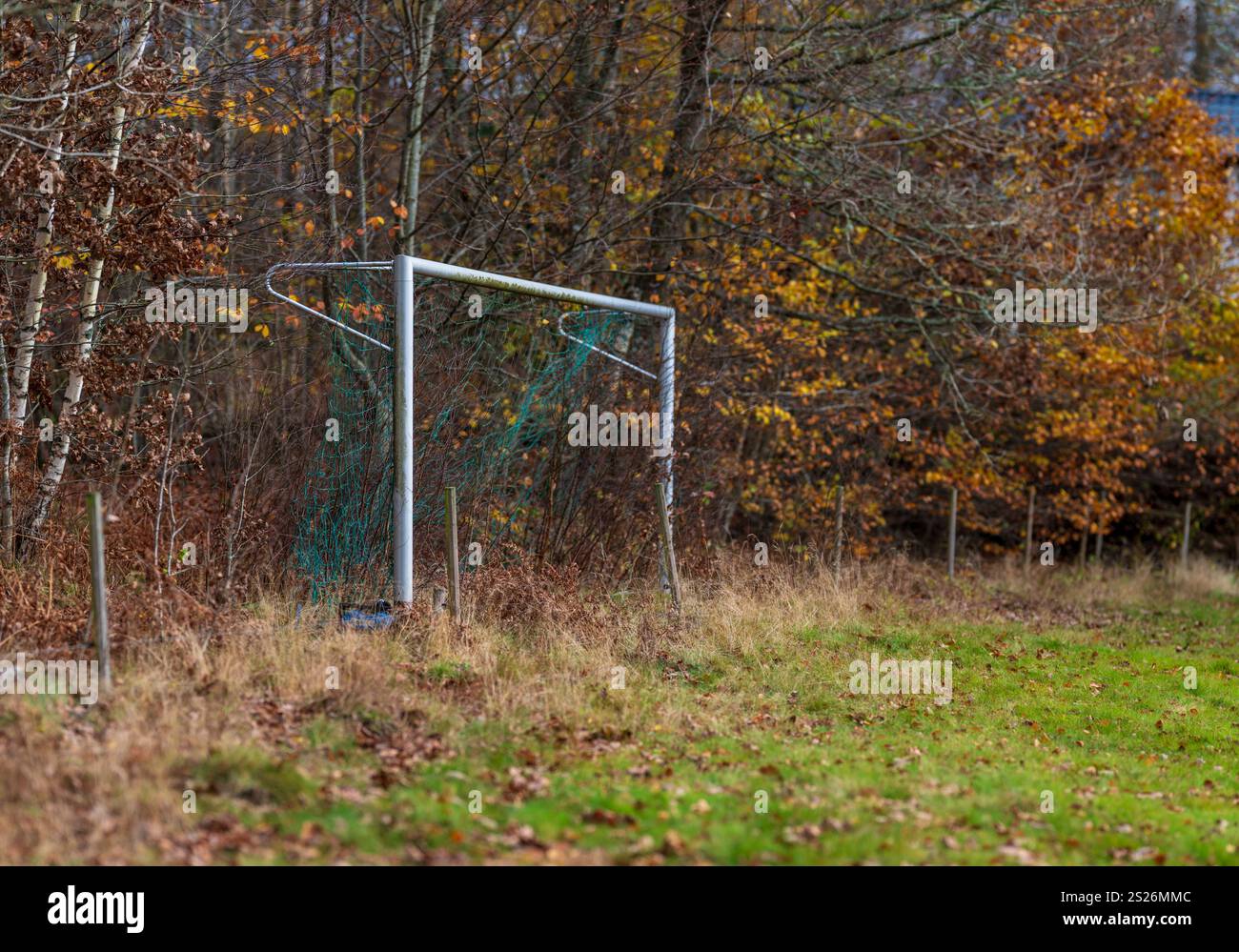 Soccer goal on an abandoned field in the forest Stock Photo - Alamy