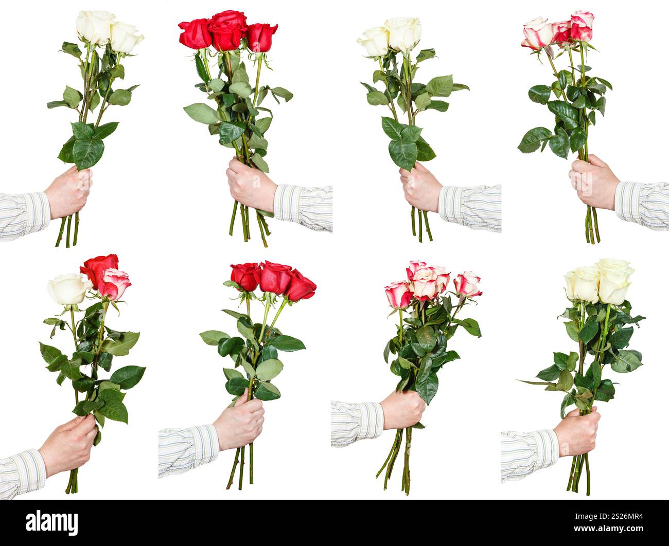 set of three and five rose flowers bouquets in hand isolated on white ...