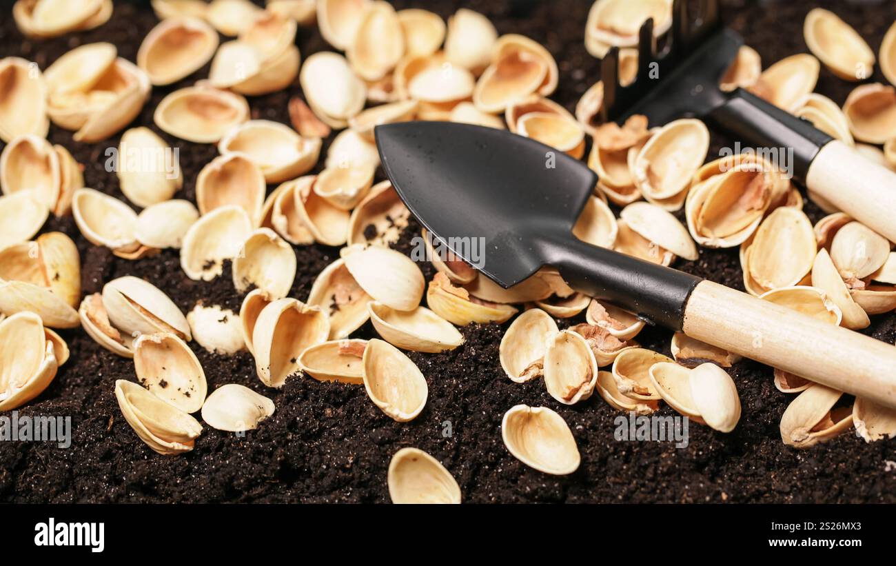 Pistachio shells. Empty Pistachio Nut Shell. Gardening. Compost or ...