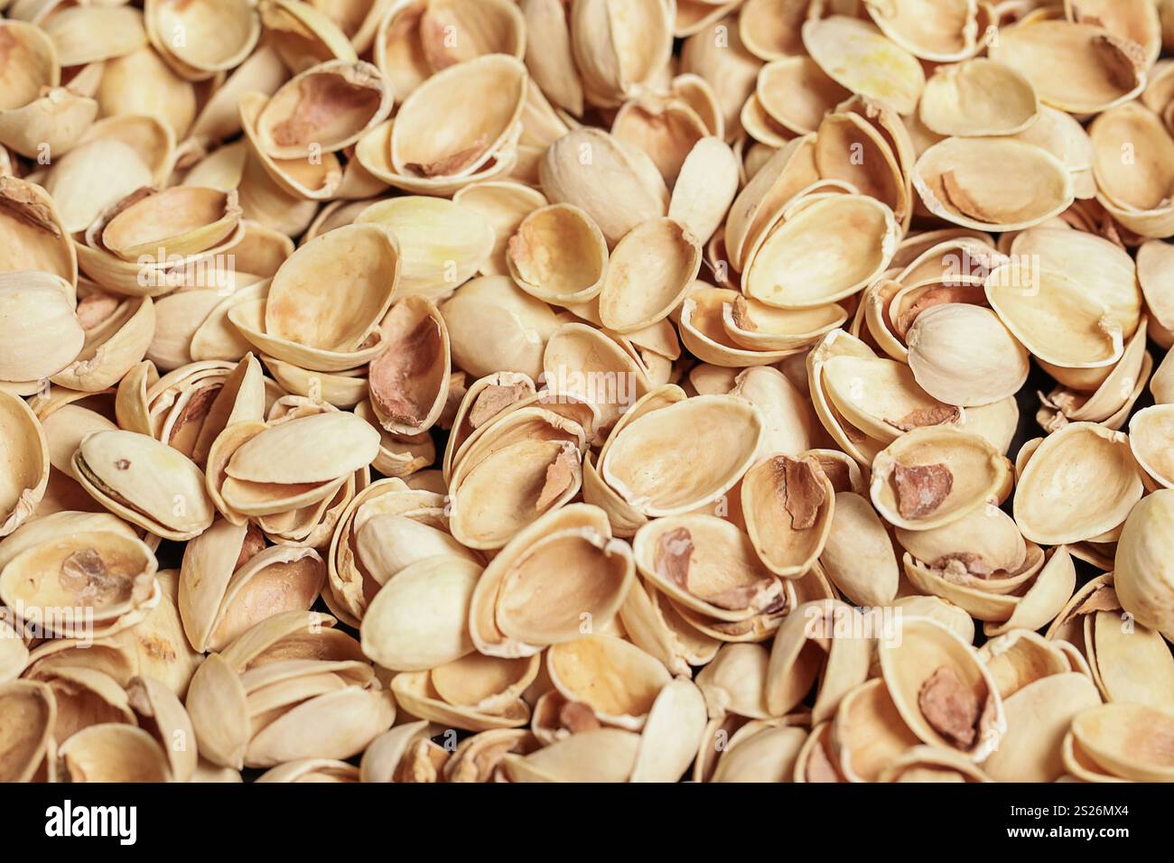 Pistachio shells. Empty Pistachio Nut Shell. Gardening. Compost or ...