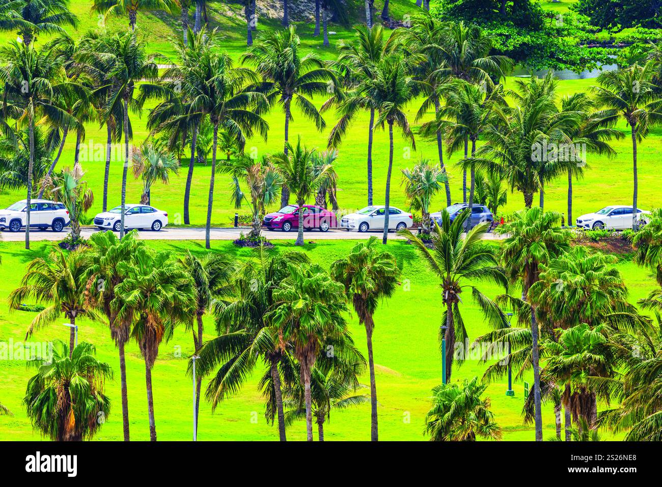Row of cars parked along tropical road surrounded by lush green grass ...