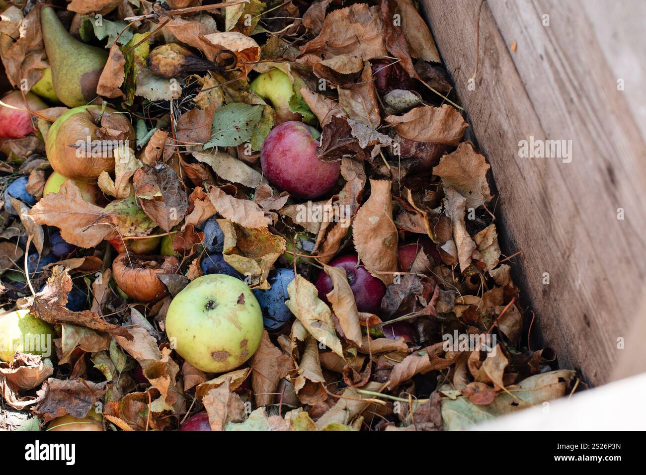 Homemade wooden compost bin in the garden. Recycling organic ...
