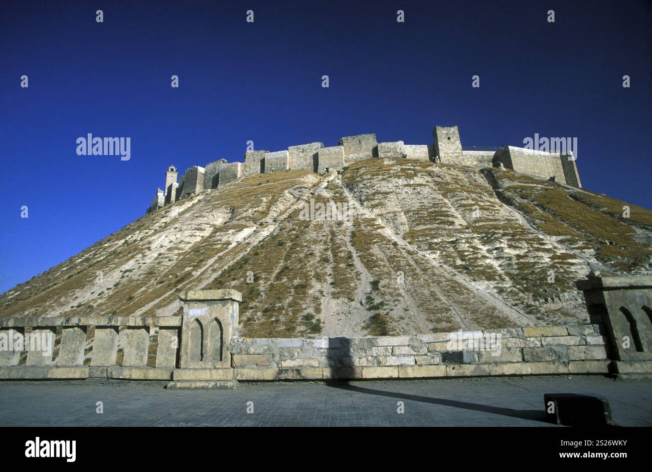 the Citadel in the old town in the city of Aleppo in Syria in the ...