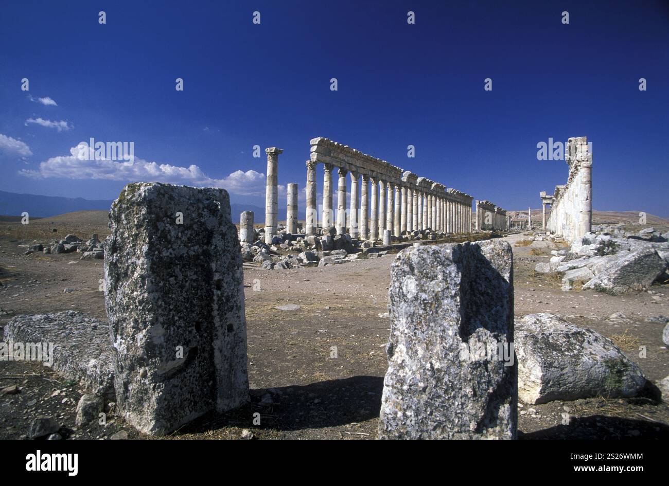 the ruins of Apamea near the city of Hama in Syria in the middle east ...