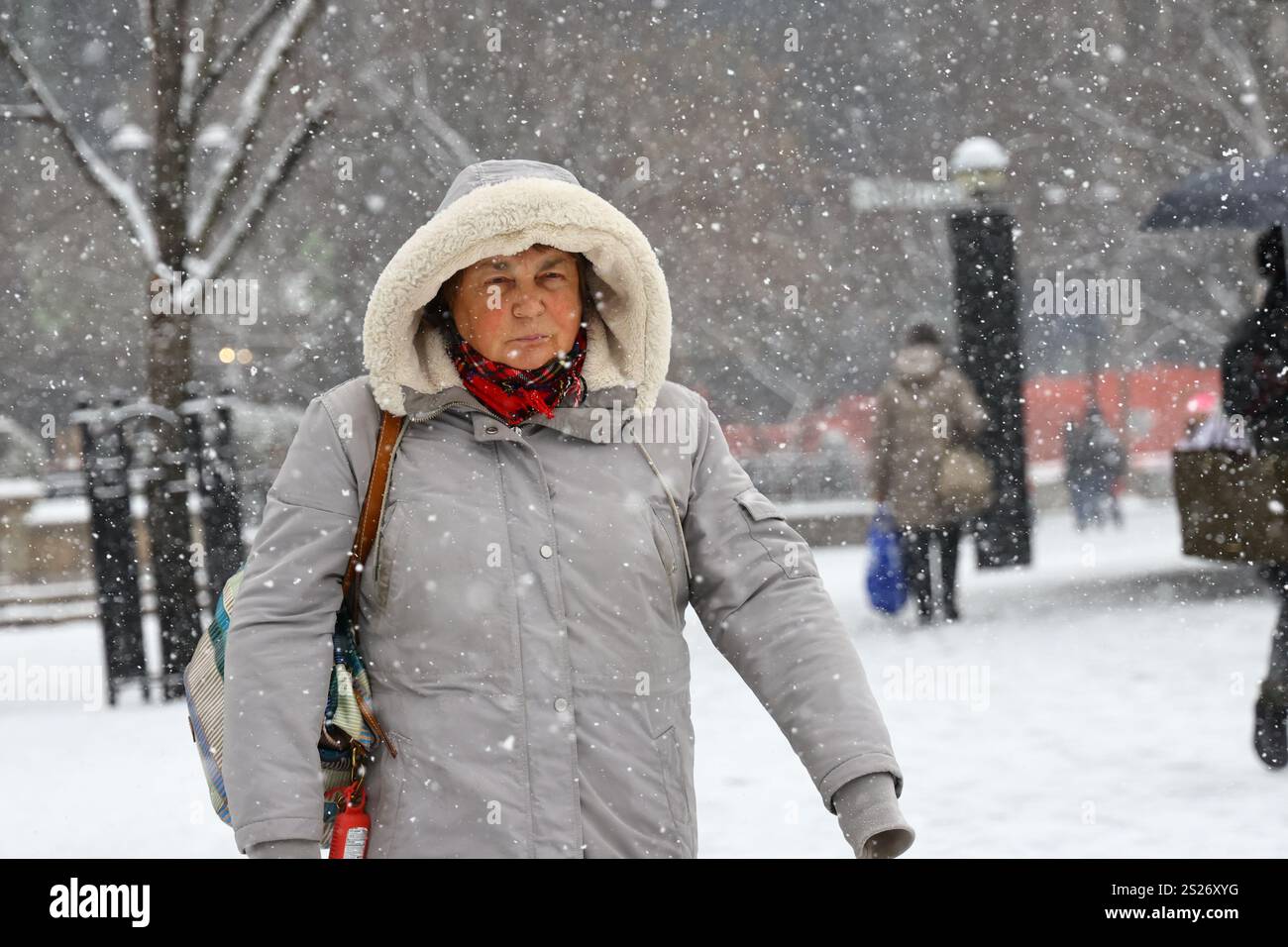 A woman walks through Union Square Park as snow falls in New York, N.Y ...