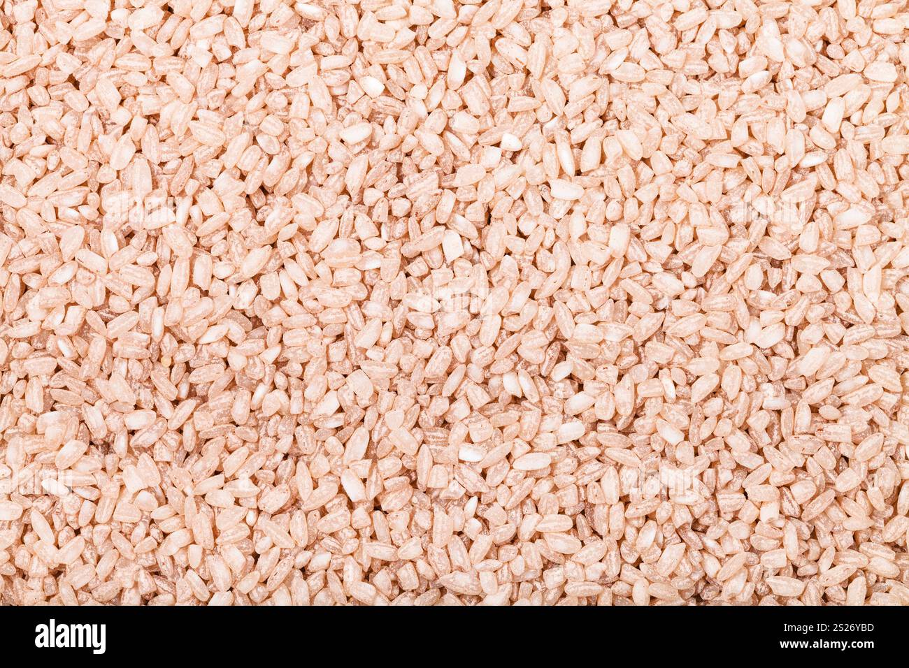 food background - medium grains of uncooked red Matta (Devzira) rice ...