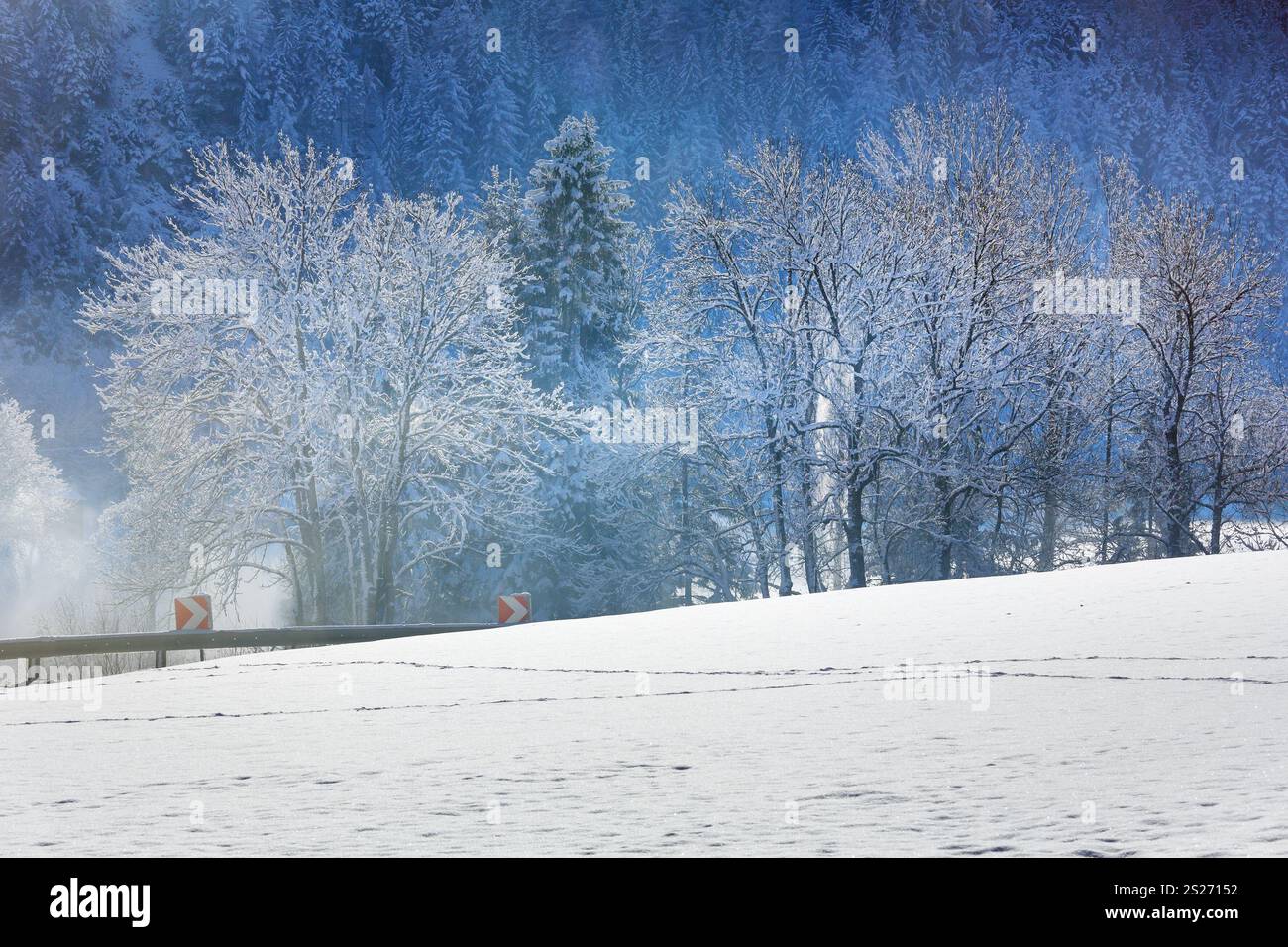 Winter country view with light snowfall and falling snow from the trees ...