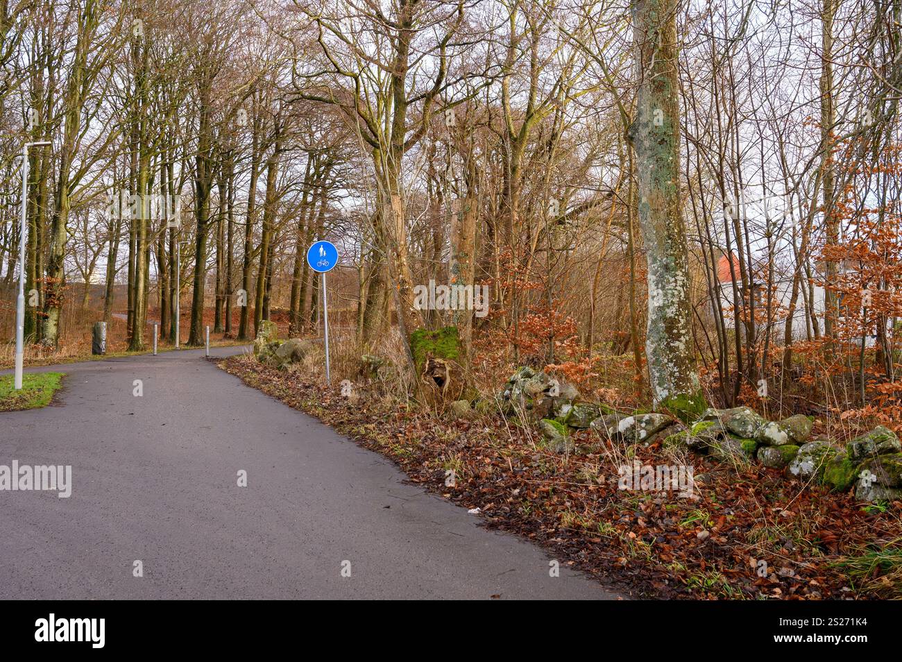 A narrow road curves through a wooded area, lined by trees with ...