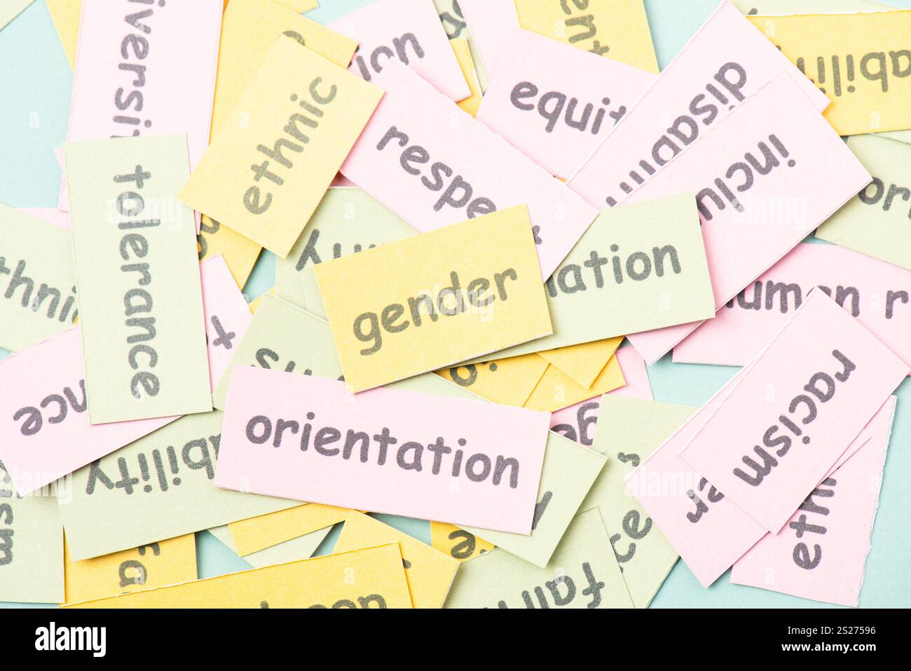 Diversity, equality, inclusion, gender and ethnic race, human rights ...