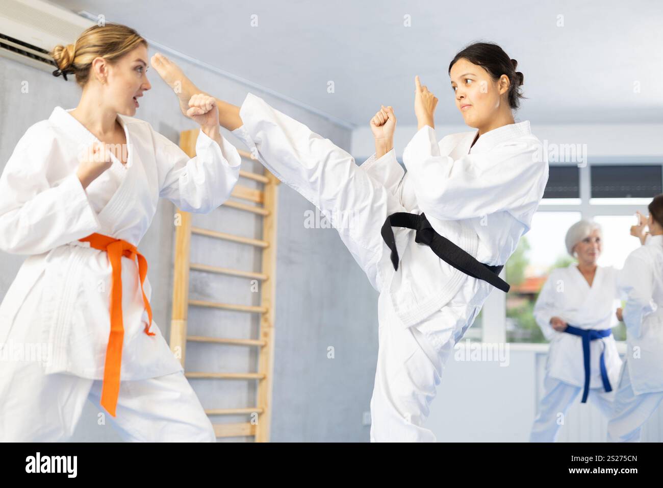 Two young women training karate techniques Stock Photo - Alamy