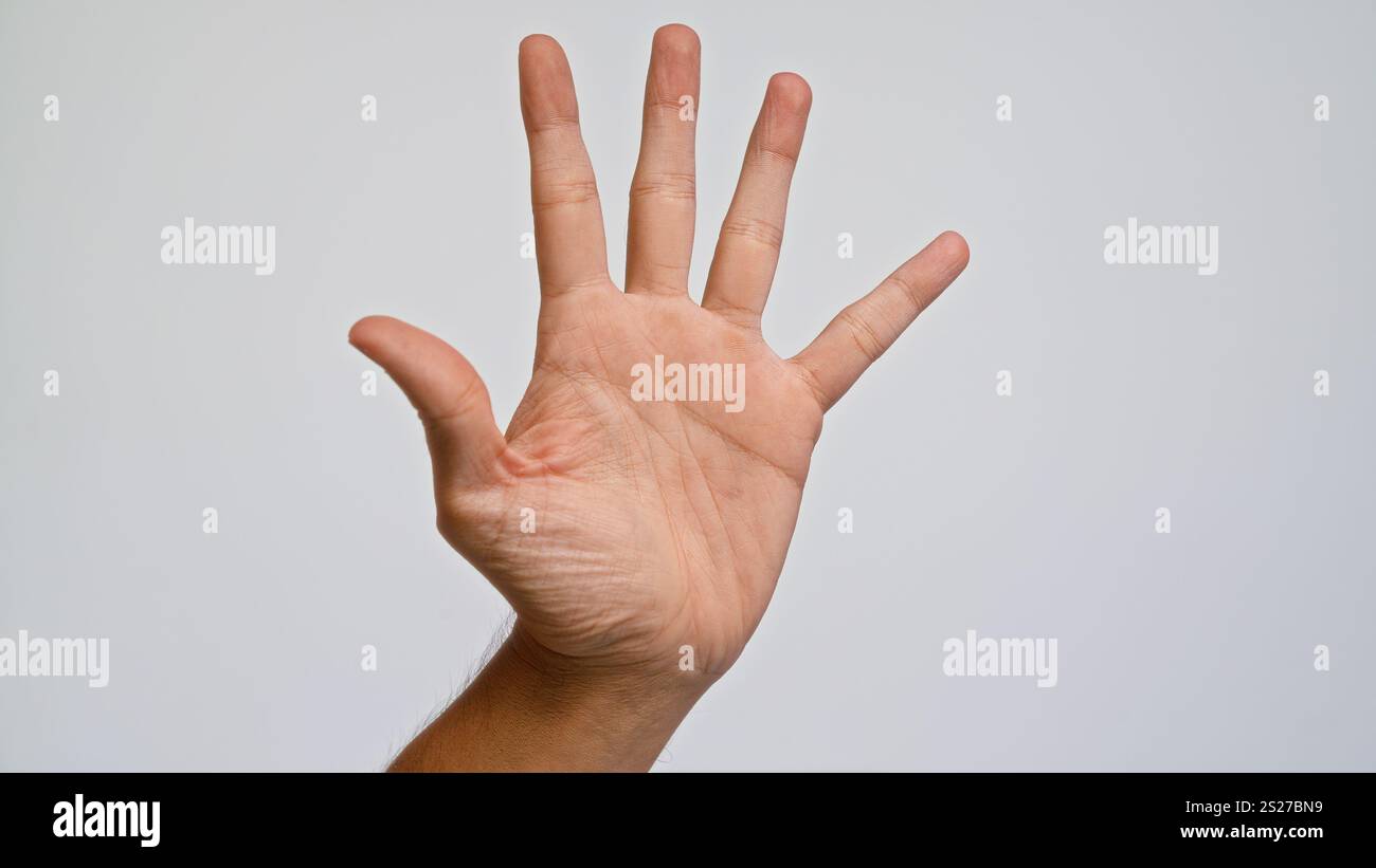 Male hand raised against a plain background showcasing fingers spread ...