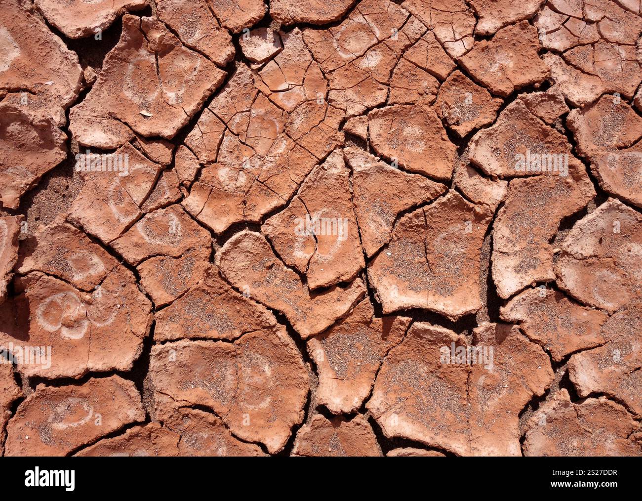 dry mud background texture. Global Warming Stock Photo - Alamy