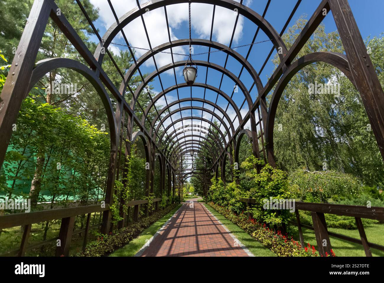 Beautiful long pergola overgrown with ivy at park Stock Photo - Alamy