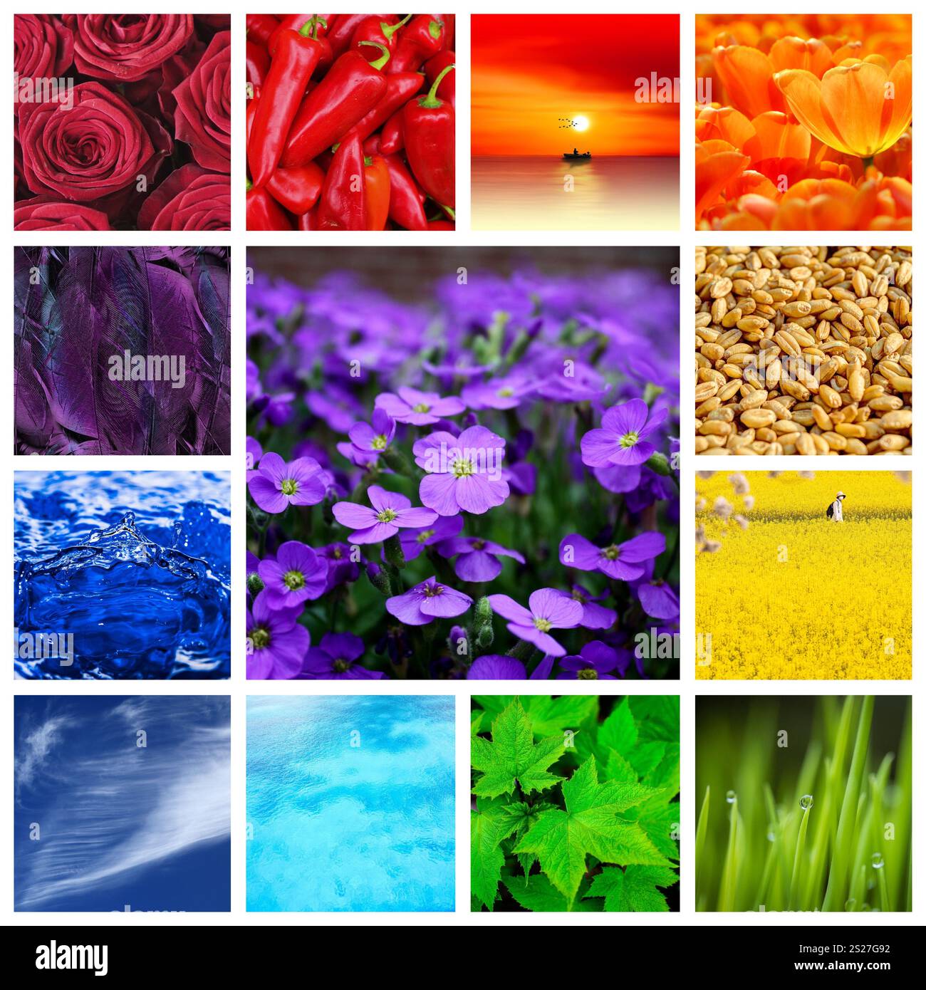 Nature collage, several images of beautiful natural landscapes in ...