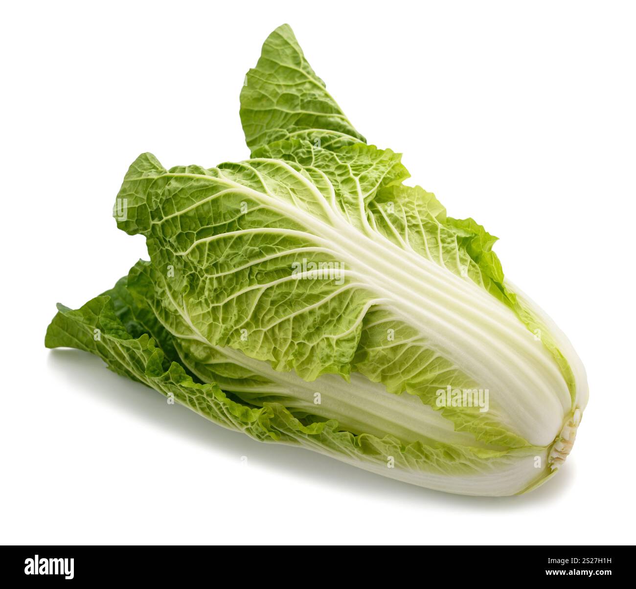 Fresh chinese cabbage isolated on white background Stock Photo - Alamy