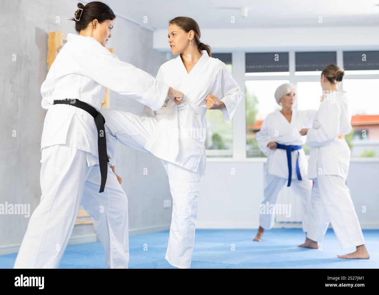 Karate lessons in the gym - women in pairs train punches and kicks in ...