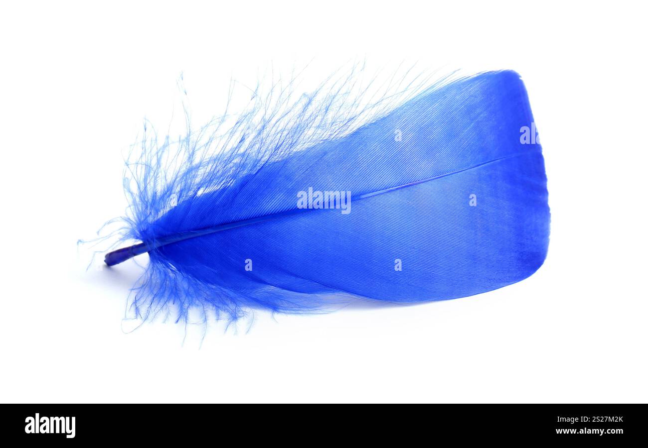 One fluffy light feather isolated on white Stock Photo - Alamy