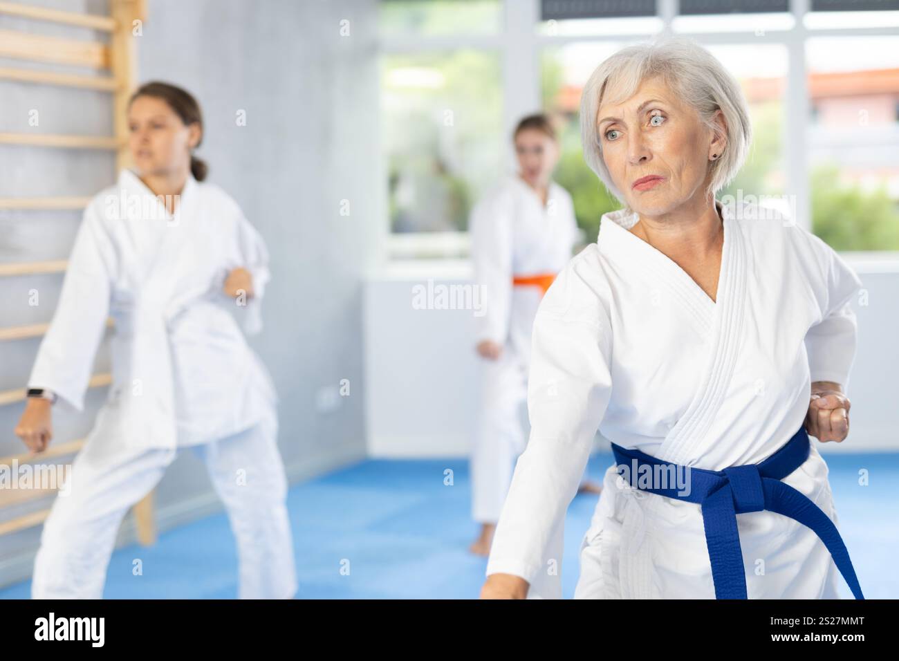 Group of women training karate techniques in studio Stock Photo - Alamy