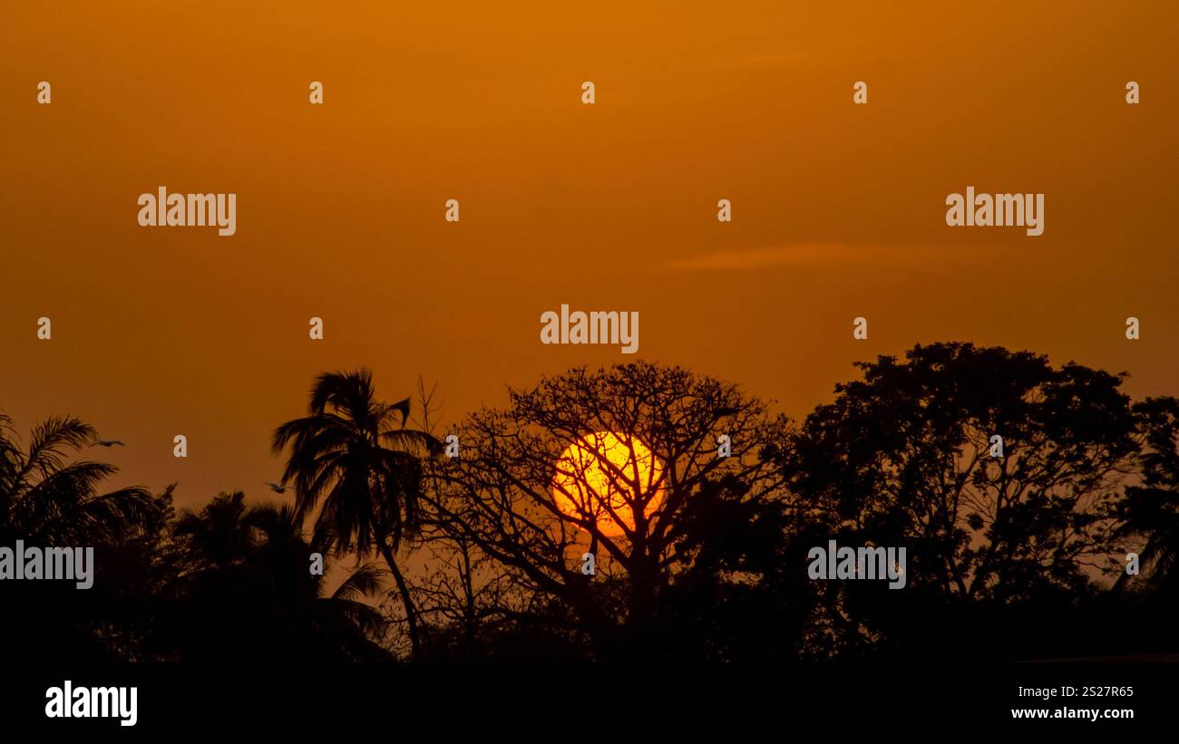 Sun setting behind typical african landscape and trees. Silhouette of ...