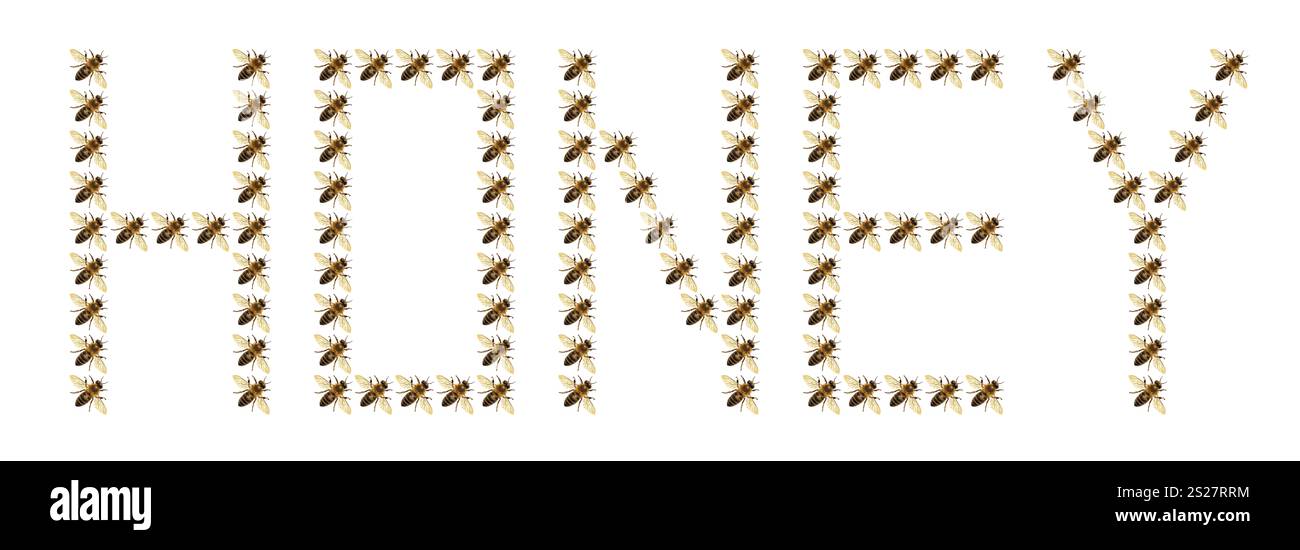the word honey composed of many bees on the white background, honey bee ...