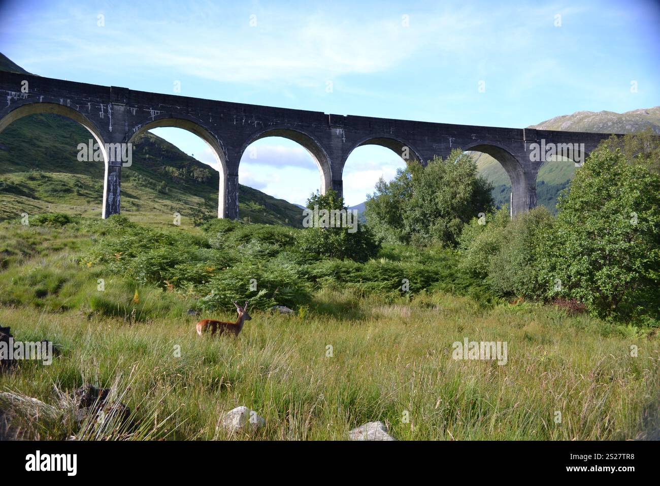 Hogwarts Express train bridge - Glenfinnan Viaduct in Scotland Stock ...