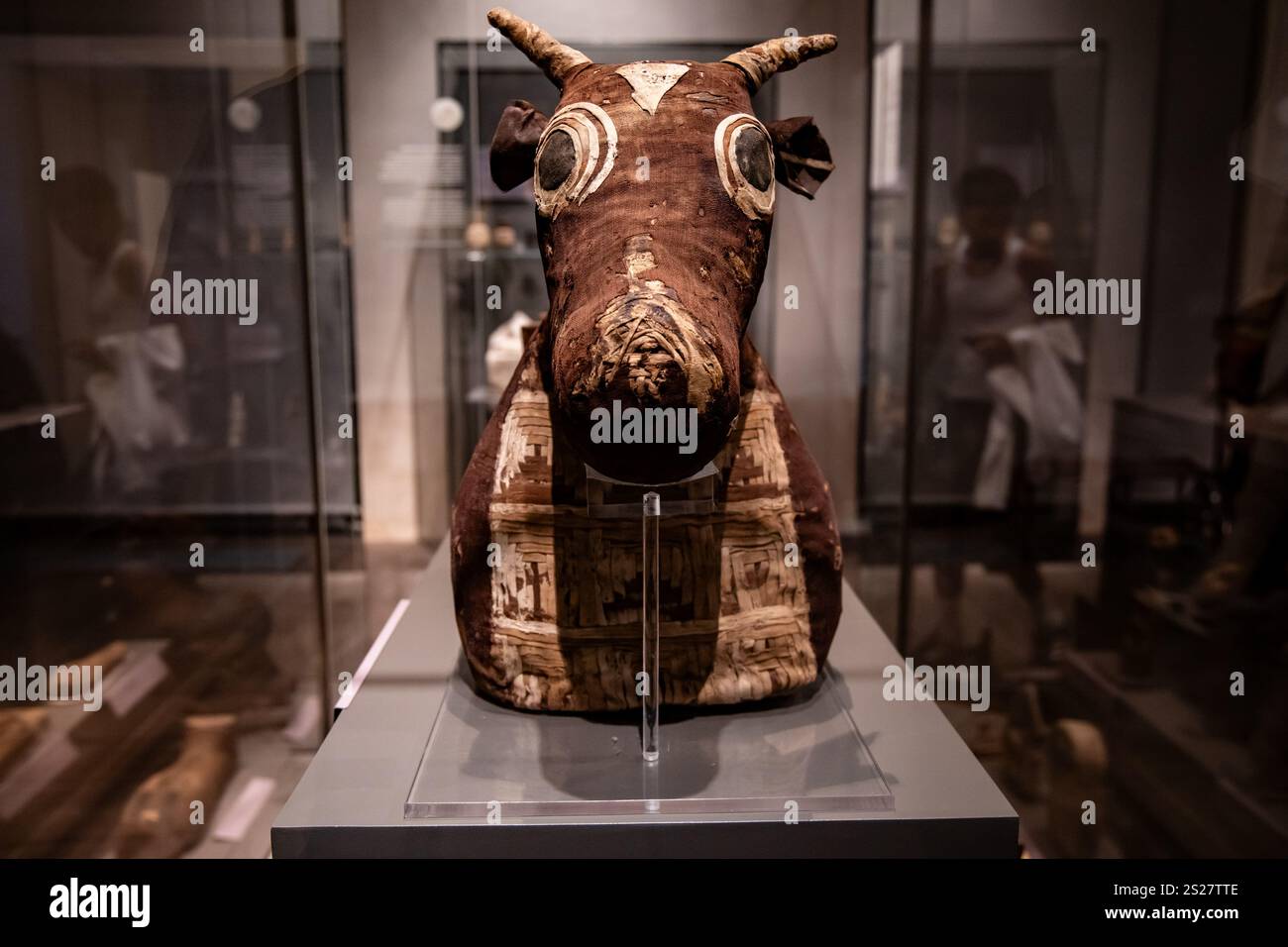 Turin, Italy. 05th Sep, 2024. A mummified bull is pictured in the ...