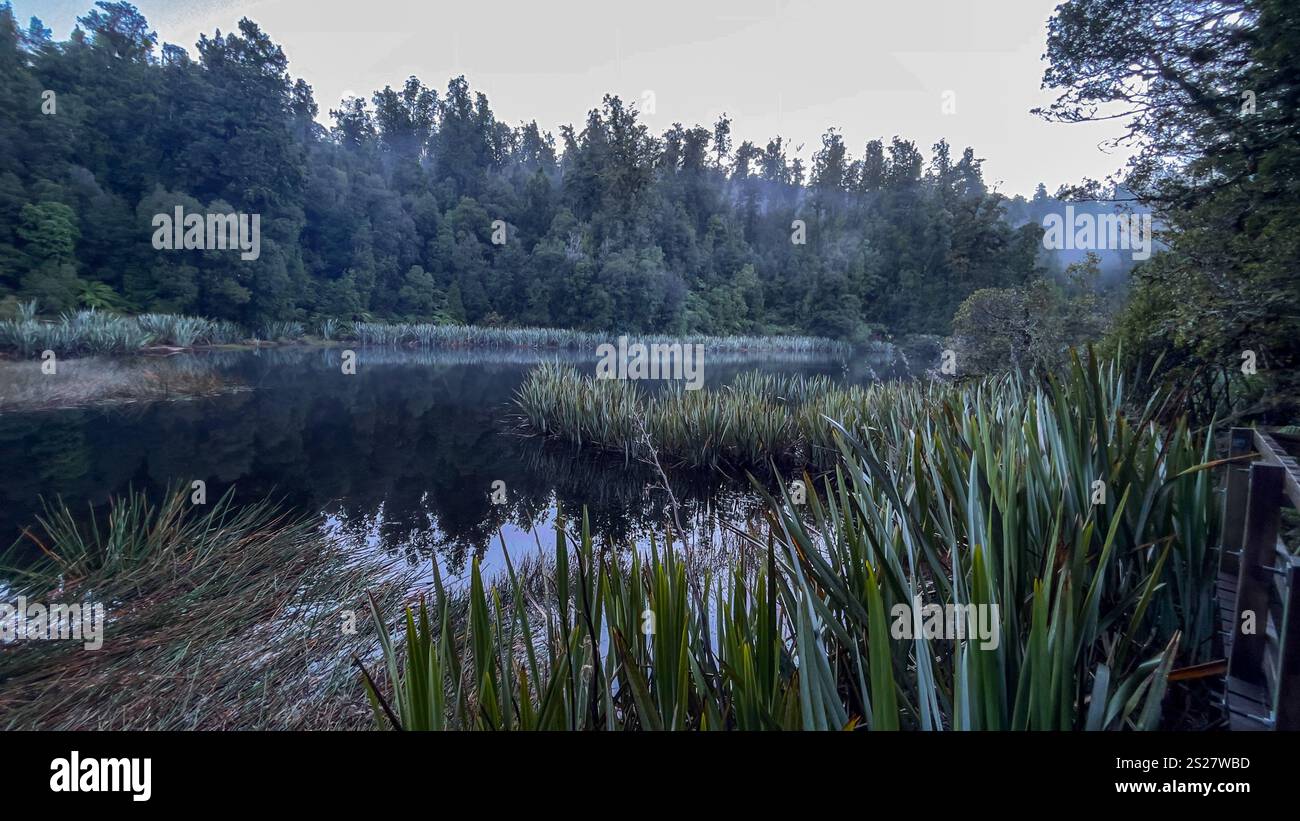 Walking the track around Lake Matheson, Fox Glacier West Coast NZ Stock ...
