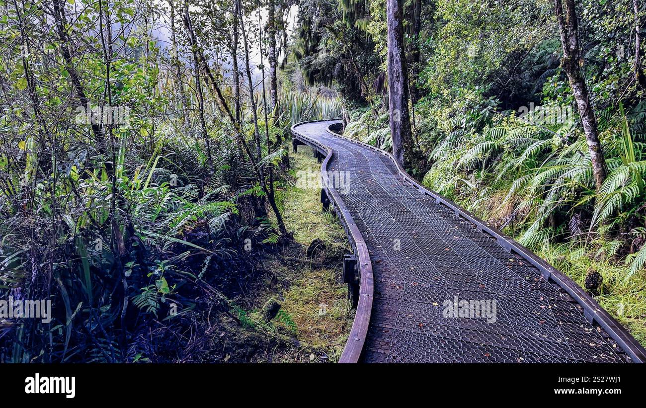 Walking the track around Lake Matheson, Fox Glacier West Coast NZ Stock ...