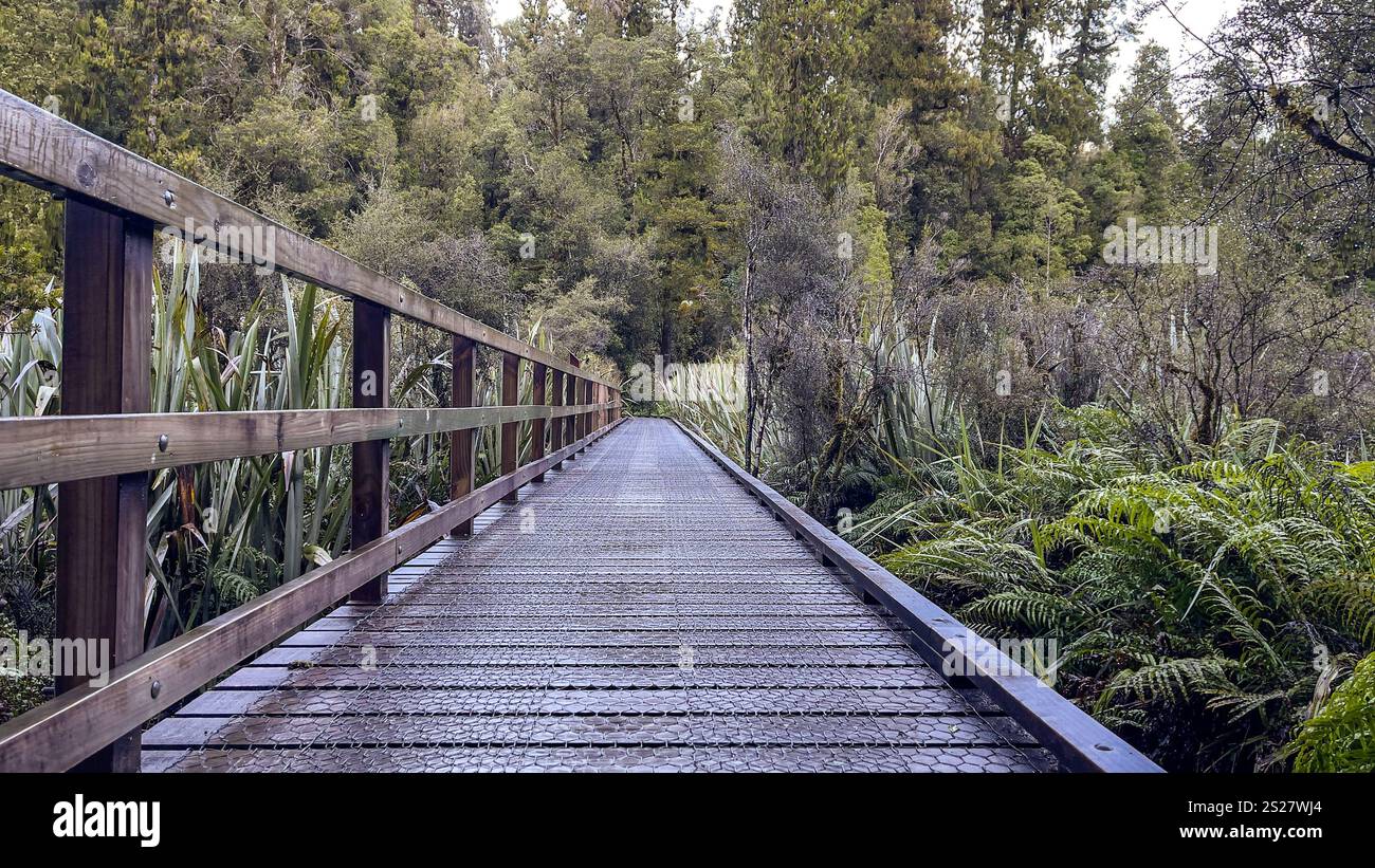 Walking the track around Lake Matheson, Fox Glacier West Coast NZ Stock ...