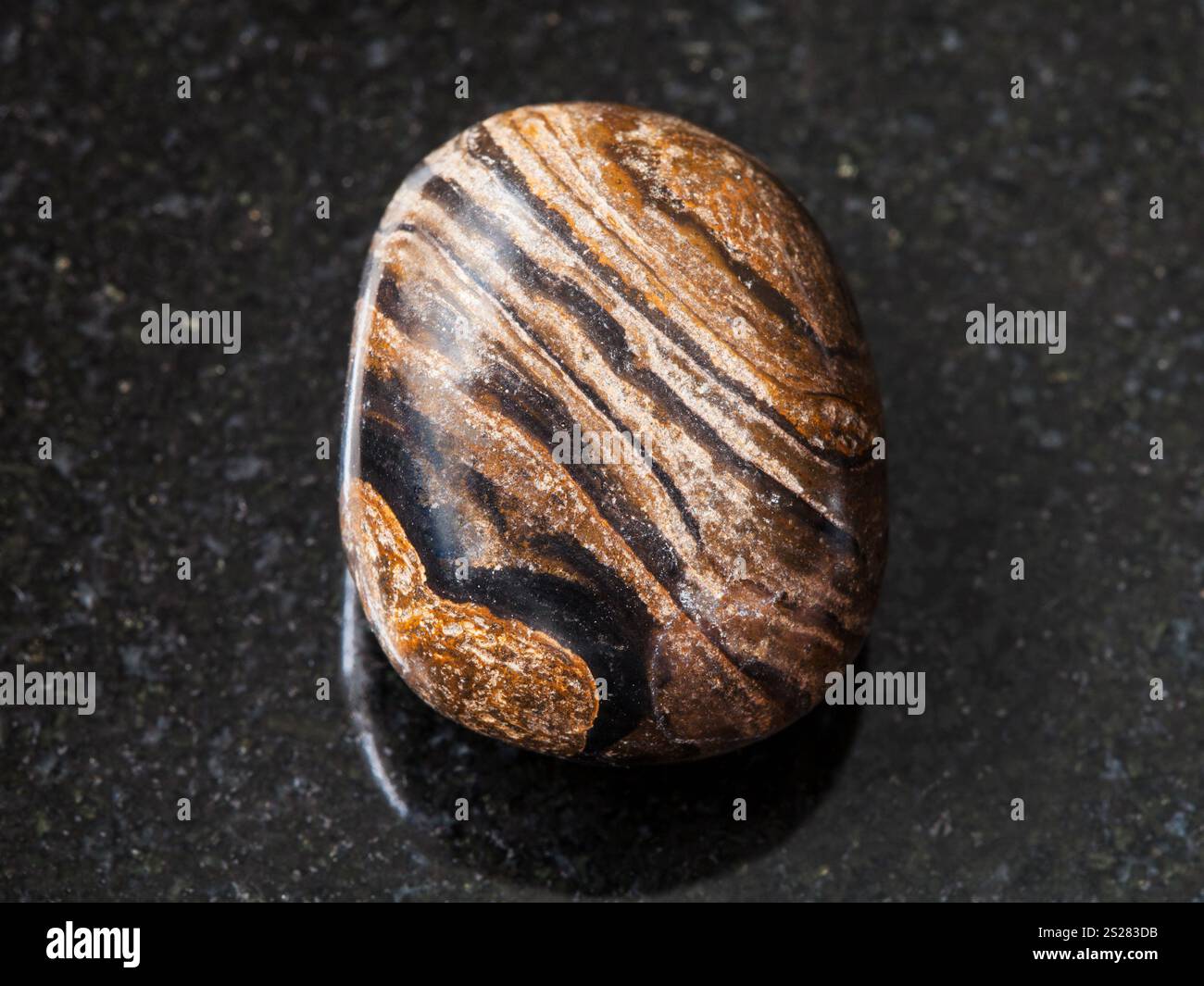 macro shooting of natural mineral rock specimen - tumbled stromatolite ...