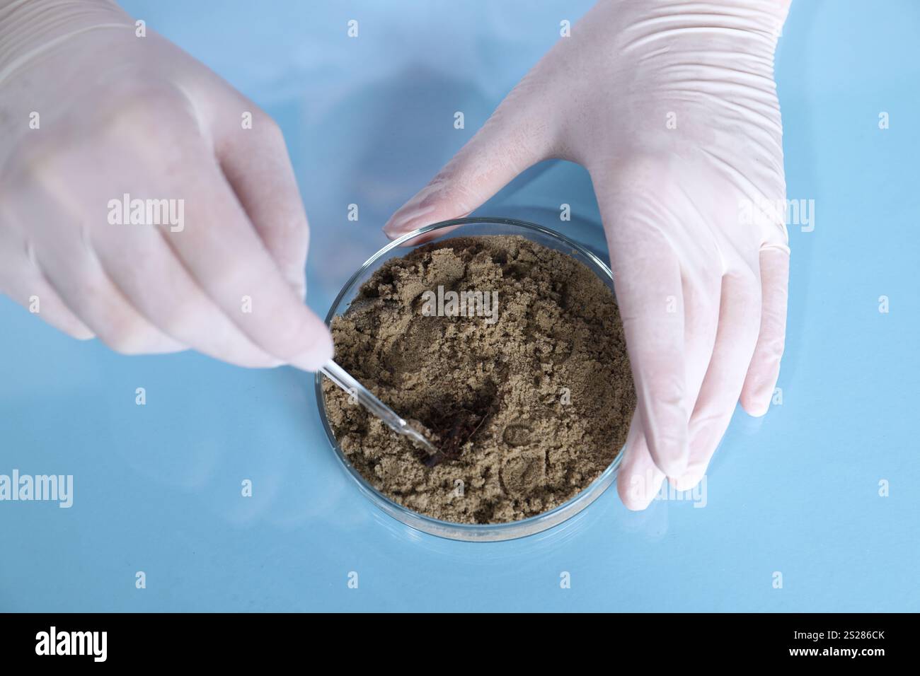 Laboratory testing. Scientist working with sand sample at table, top ...