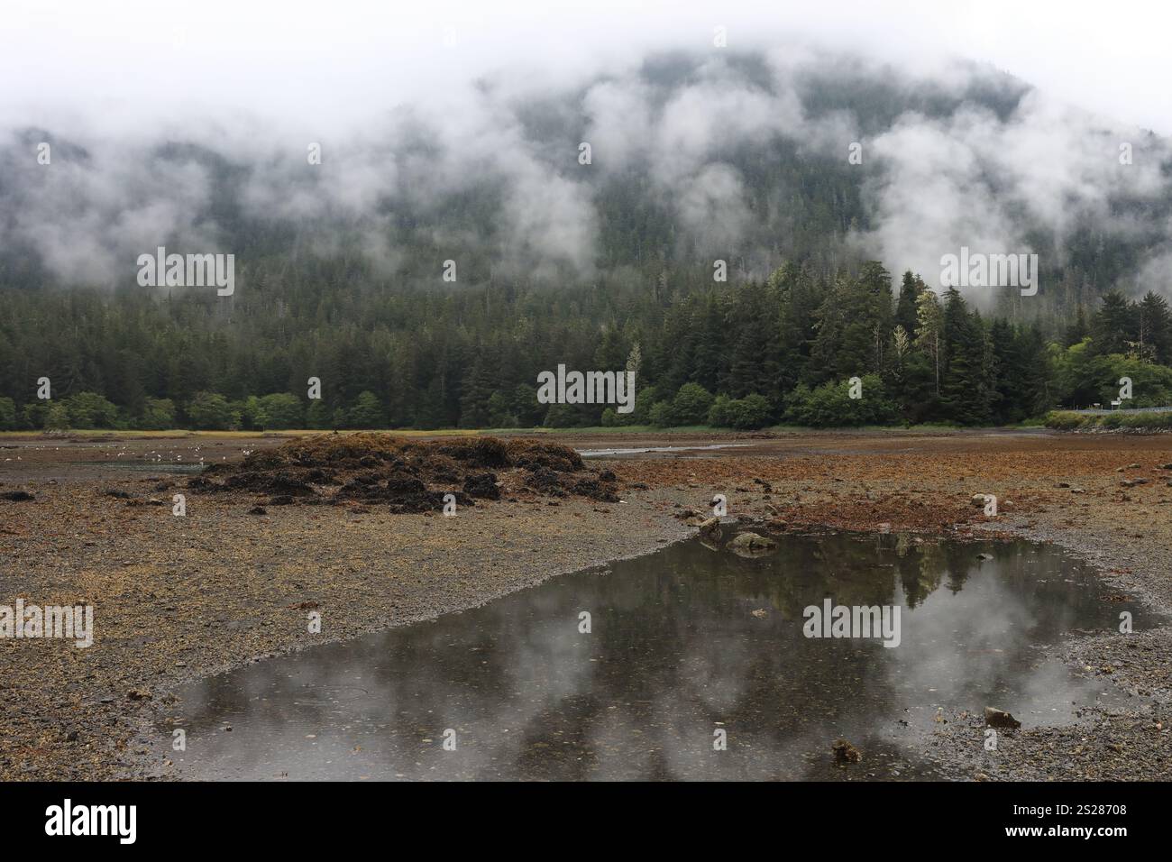 Old Sitka shore Stock Photo - Alamy