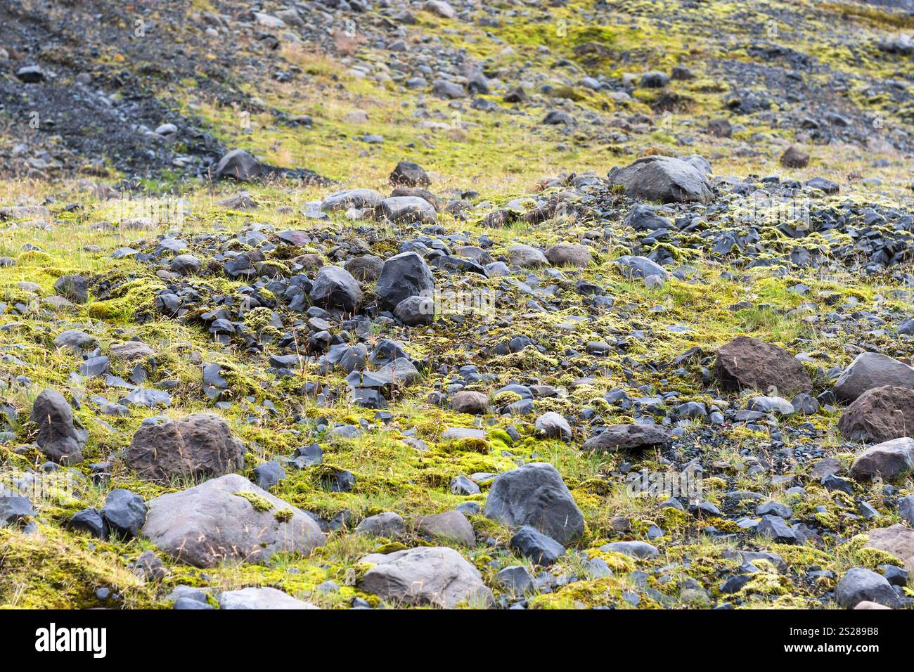 travel to Iceland - pumice stones along bed of Solheimajokull glacier ...