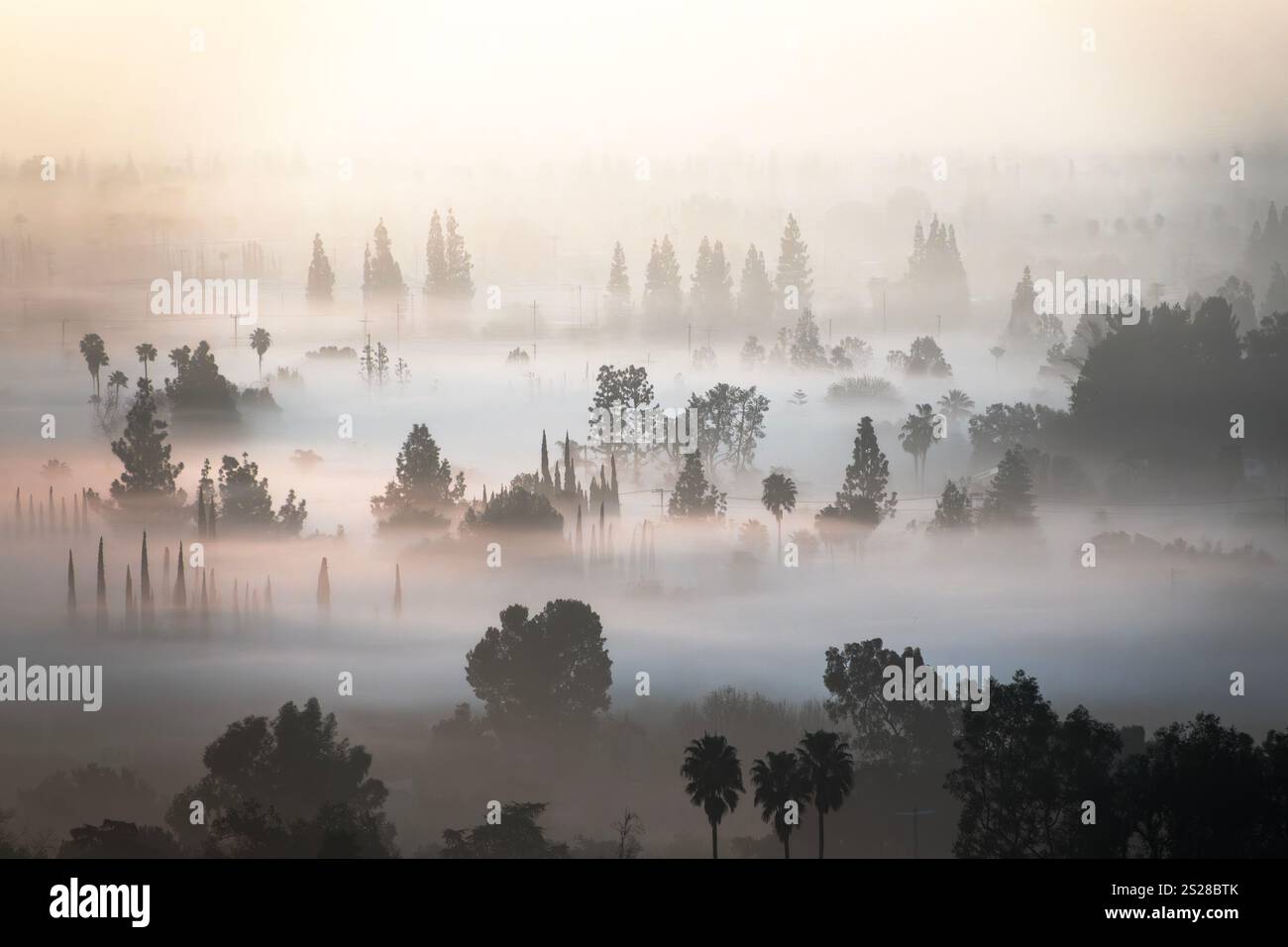 Los Angeles San Fernando Valley morning ground fog Stock Photo - Alamy