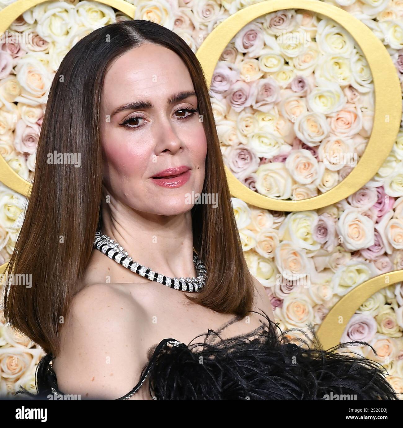 Sarah Paulson attends the 82nd Annual Golden Globe Awards at The ...