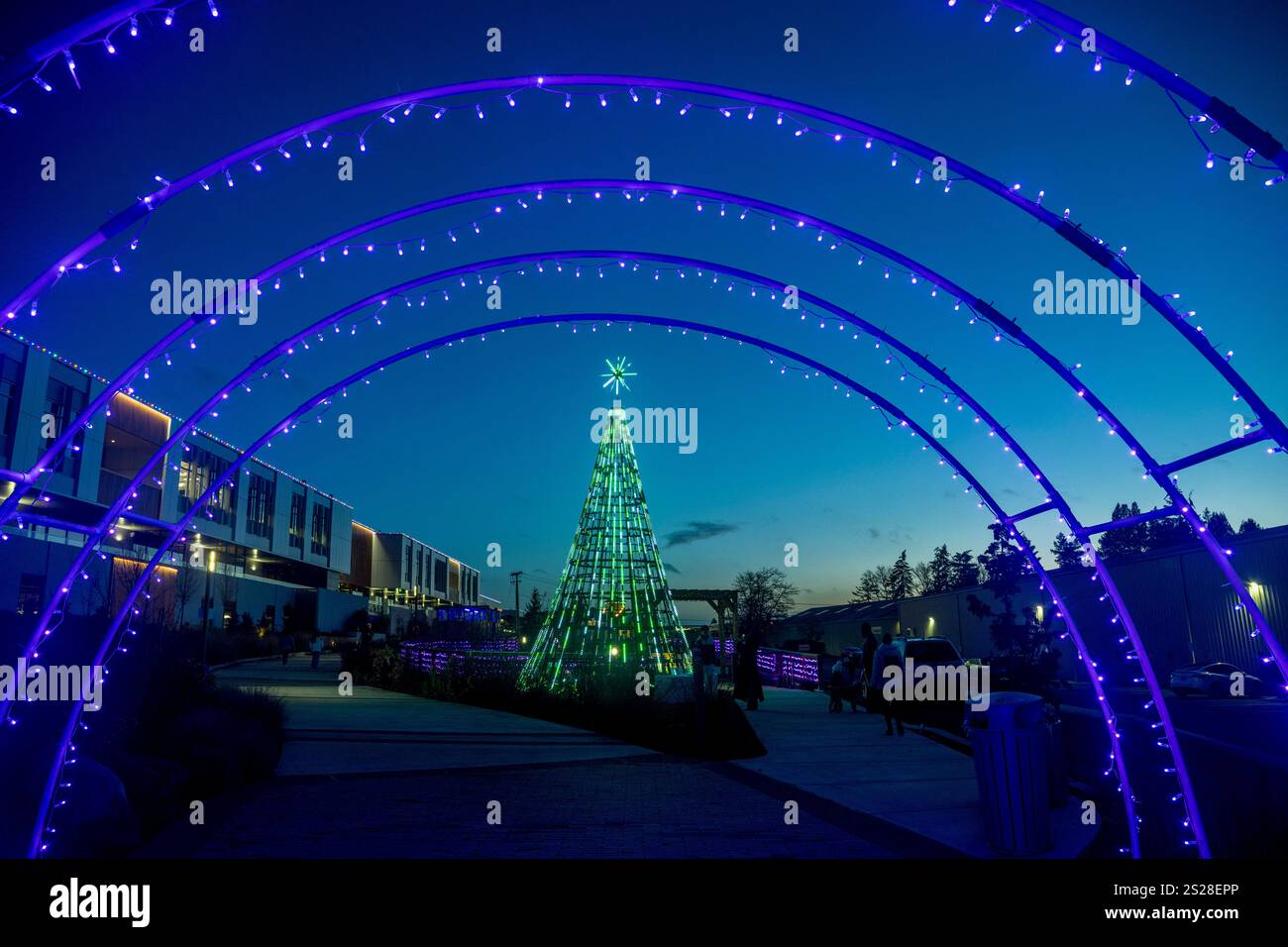 Google s Musical Holiday Lights festival at Feriton Spur Park on the ...
