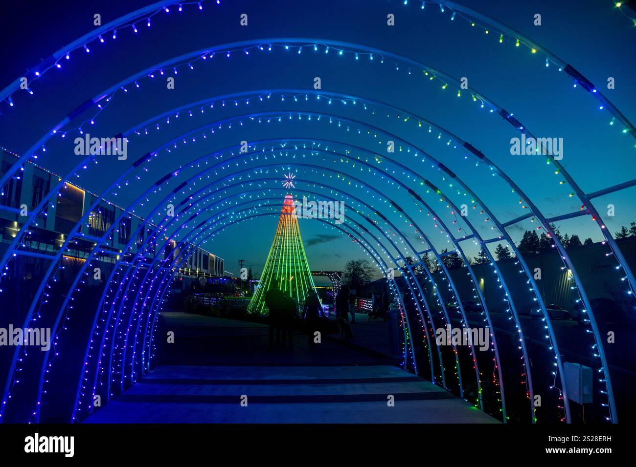 Google s Musical Holiday Lights festival at Feriton Spur Park on the ...