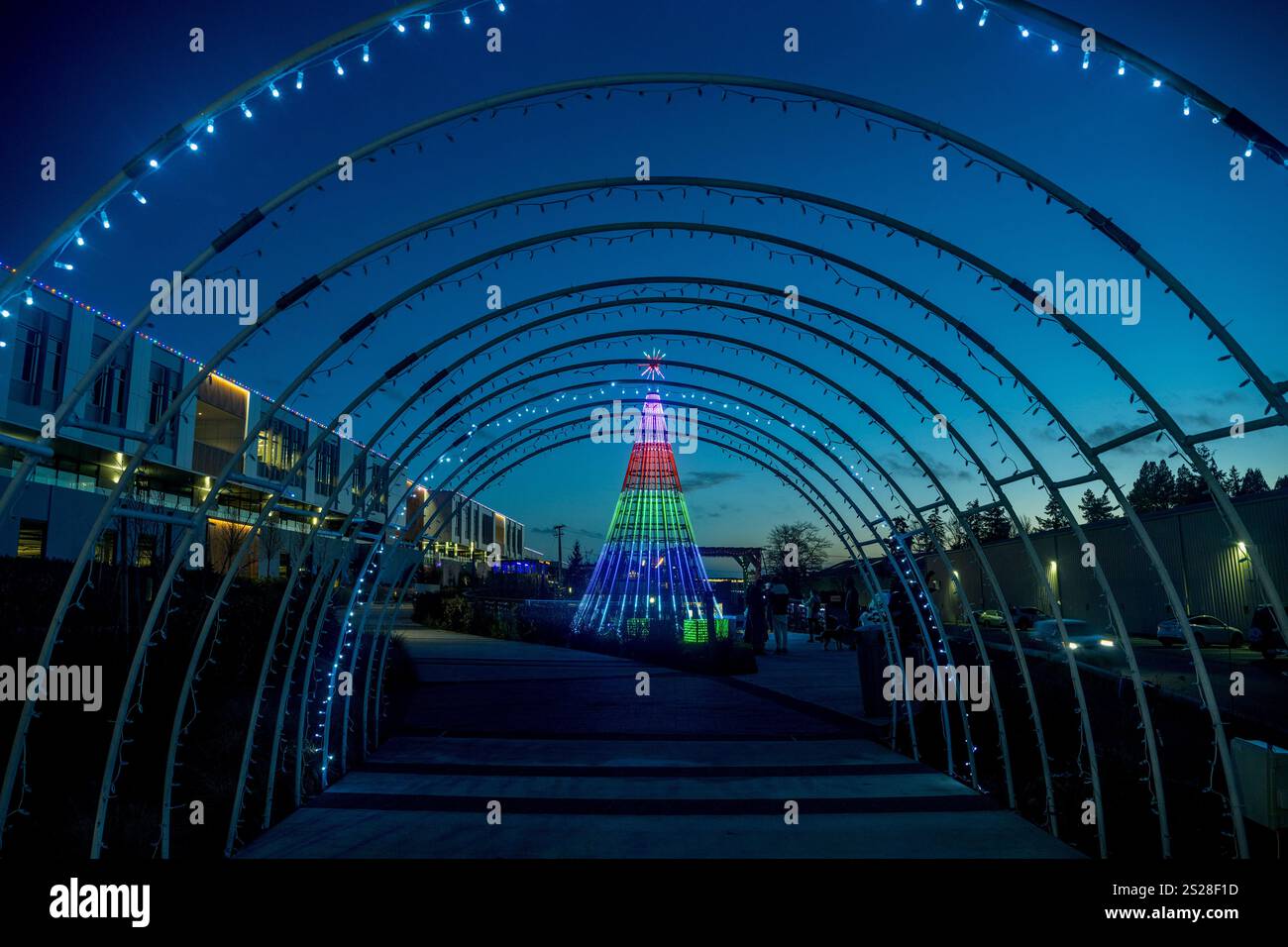 Google s Musical Holiday Lights festival at Feriton Spur Park on the ...