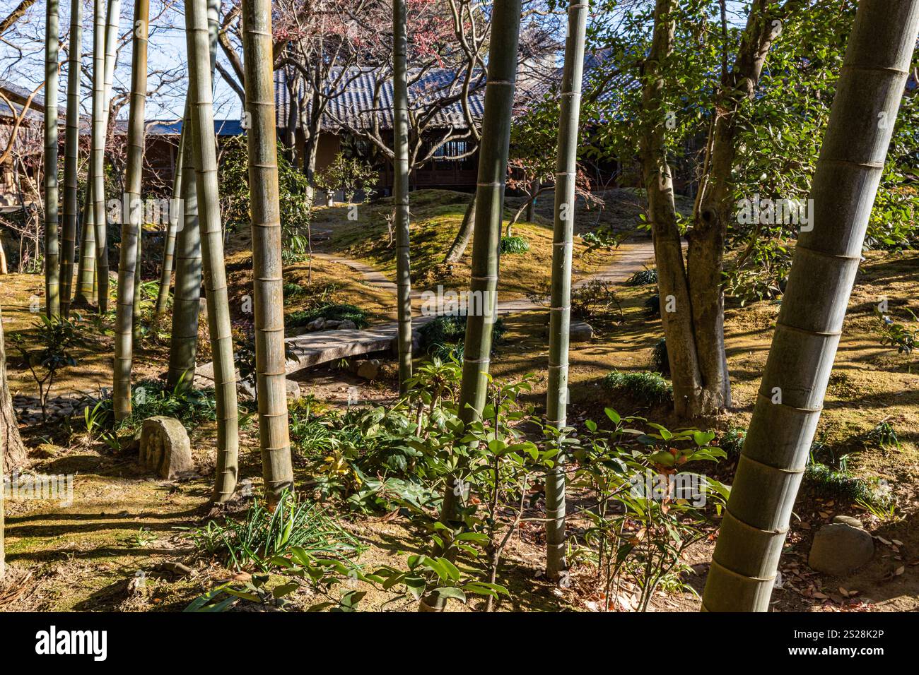 Saishoji Temple Garden - Saishoji Temple is a Jodo Shinshu temple ...