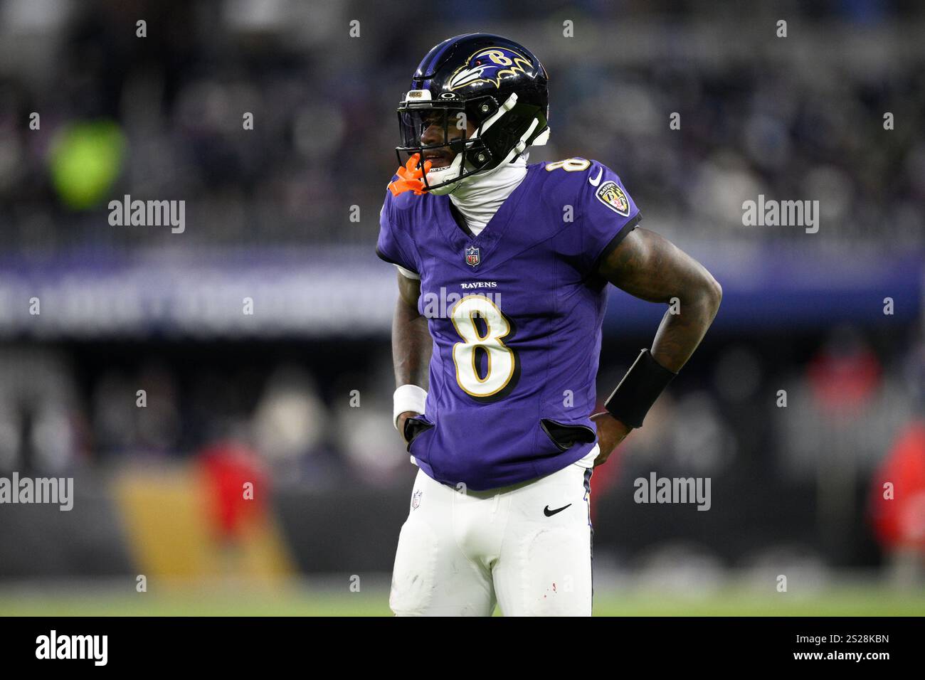 Baltimore Ravens quarterback Lamar Jackson (8) looks on during the ...