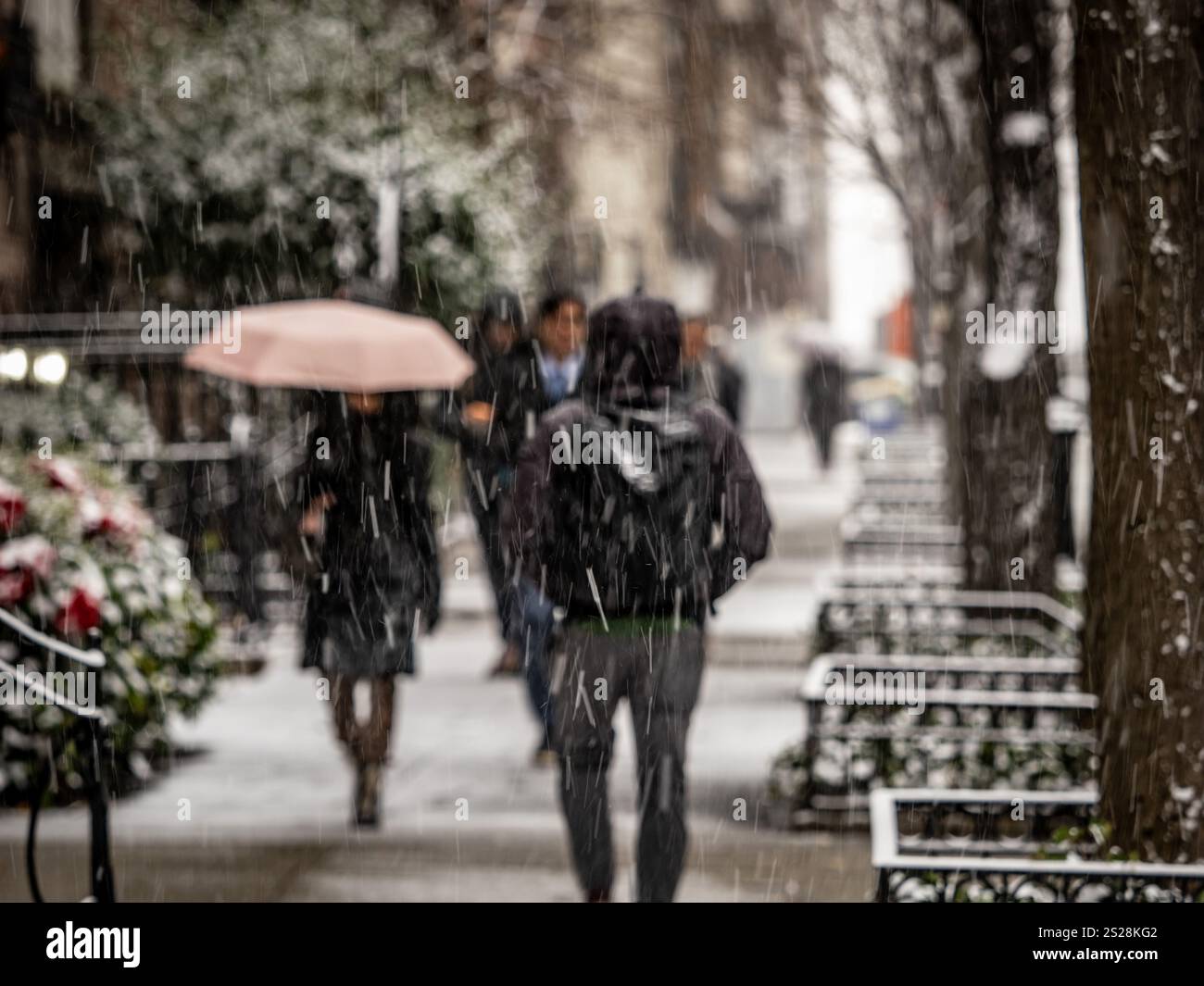 New York, New York, USA. 6th Jan, 2025. While heavy snowstorms swept across the eastern U.S ...