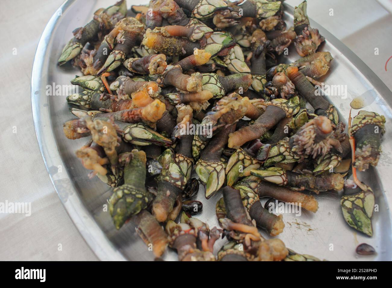 small barnacles in a dish and ready to be eaten for lunch Stock Photo ...
