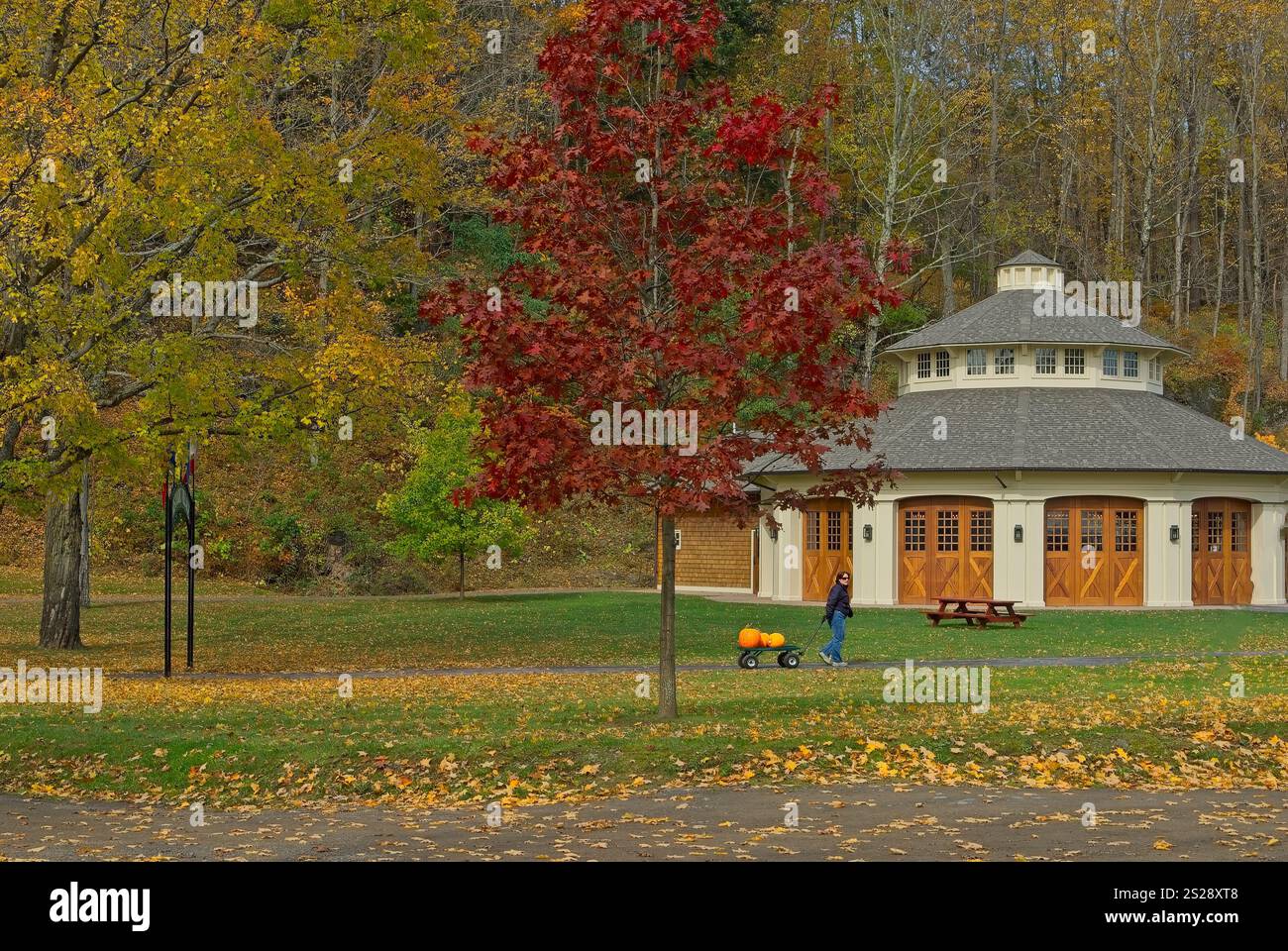 Empire State Carousel surrounded with bright autumn colored trees on ...