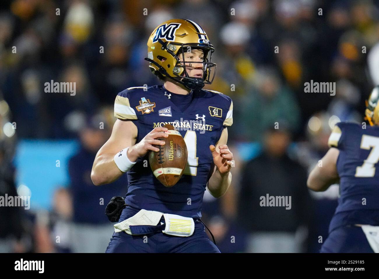 Montana State quarterback Tommy Mellott looks to pass against North ...