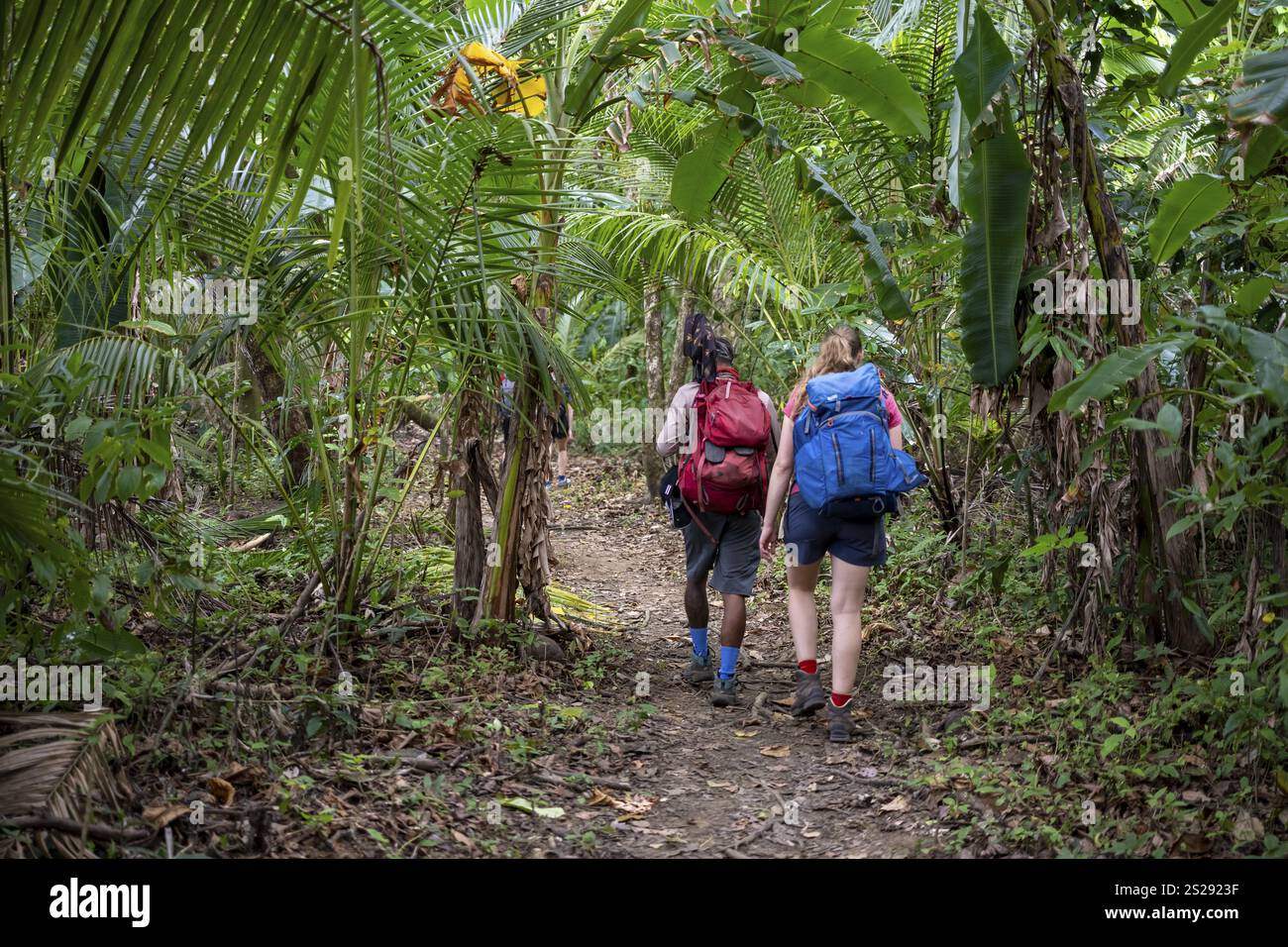 Tourist and guide on a hiking trail through the tropical rainforest ...