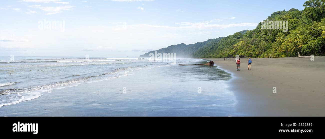 People walking along a sandy beach, tropical rainforest on the Pacific coast, Corcovado National ...