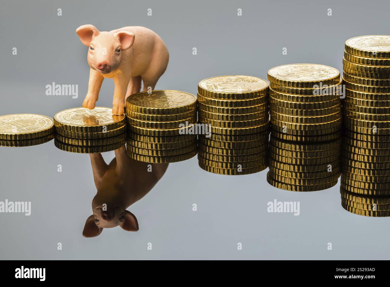 A pig stands on a pile of coins. Rising costs for animal feed in ...