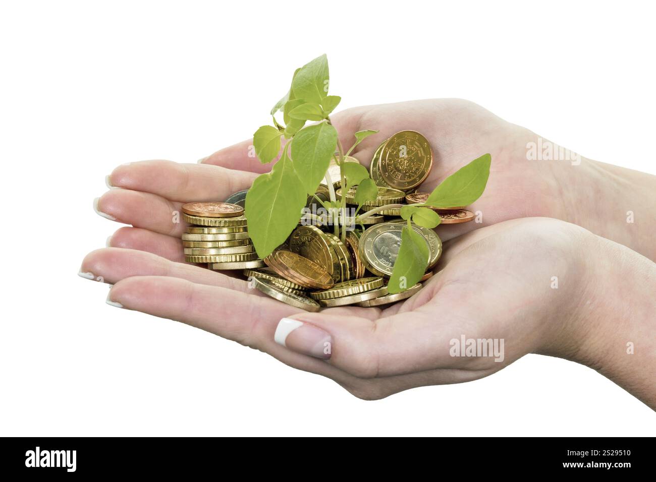 Money and plant. Symbolic photo for saving against a white background ...