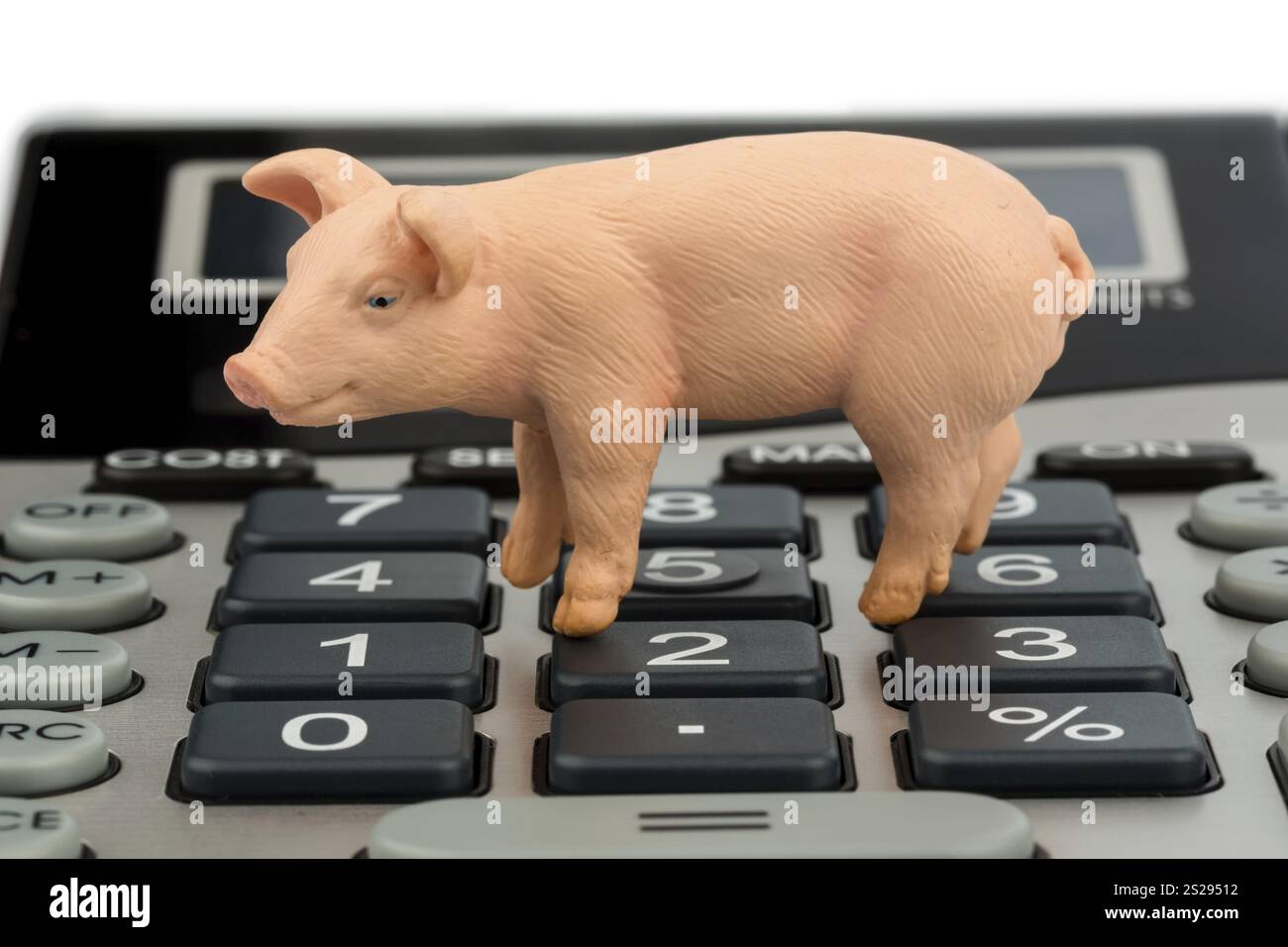 A pig and a calculator as a symbol for costs and income for a farmer in ...