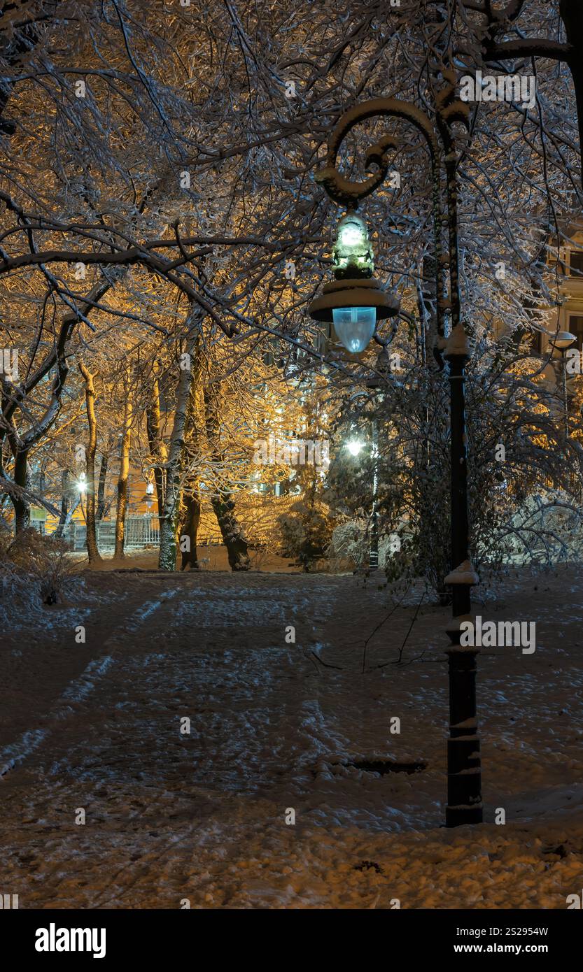 Beautiful walkway in illuminated night winter Ivan Franko park (Lviv ...